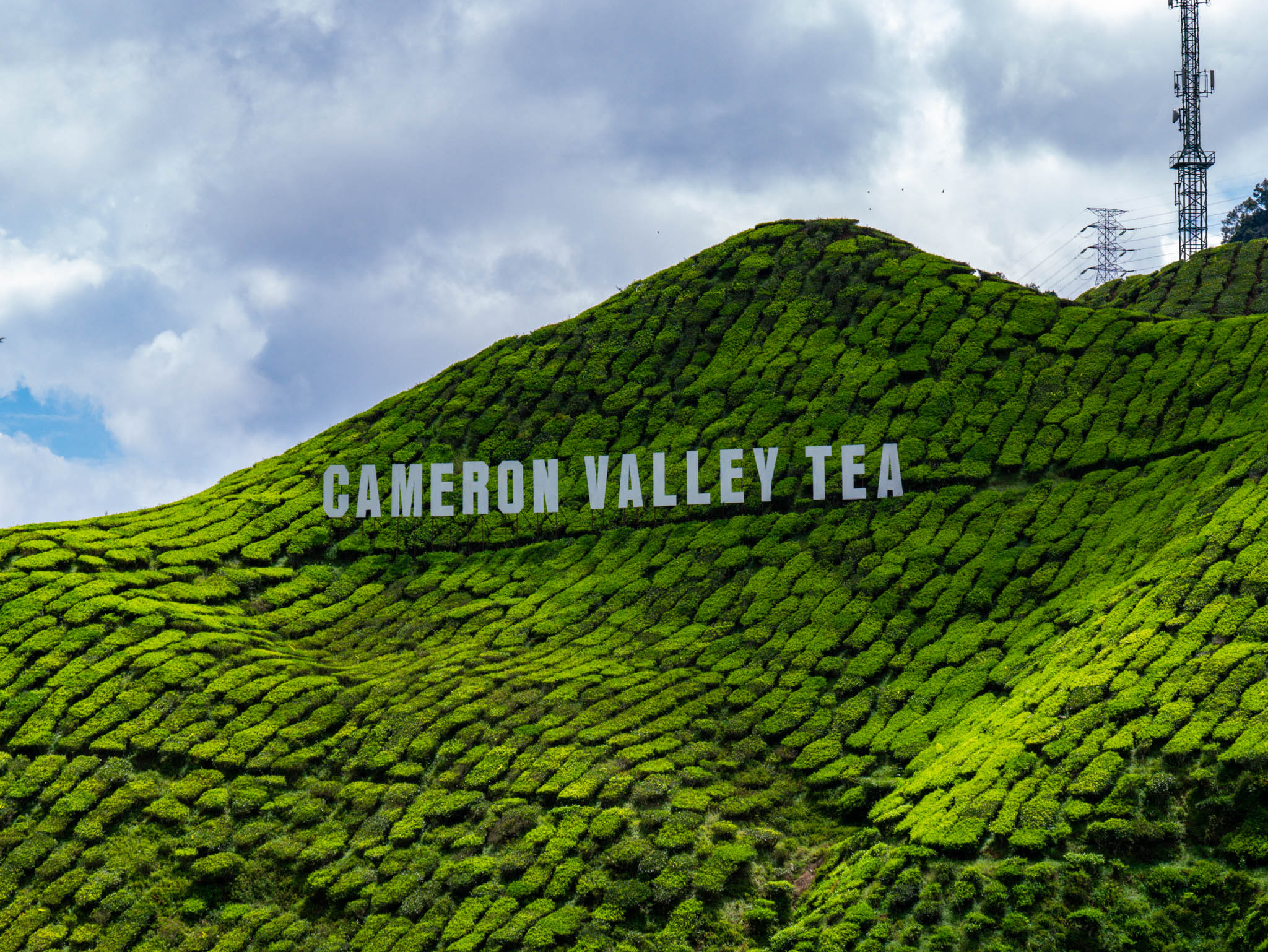 Top 10 Attractions in Cameron Highlands